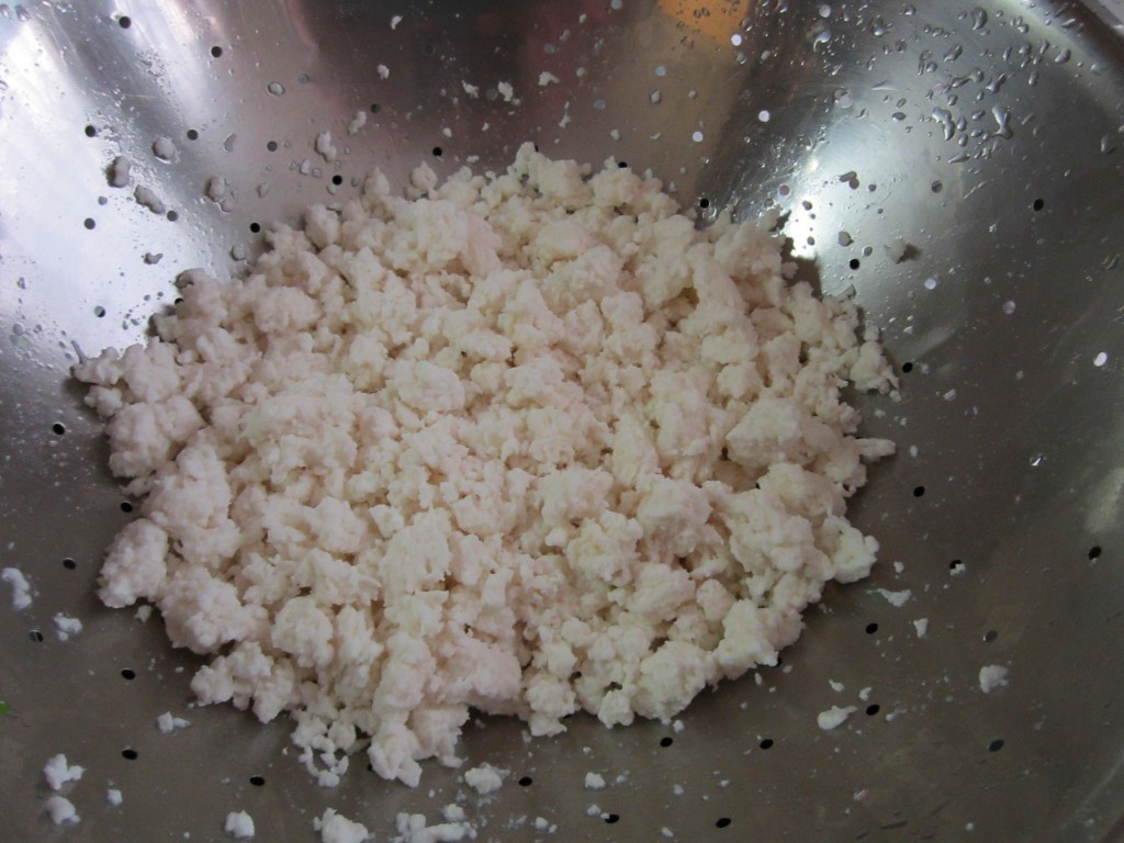 Homemade Cottage Cheese | The Charmed Kitchen