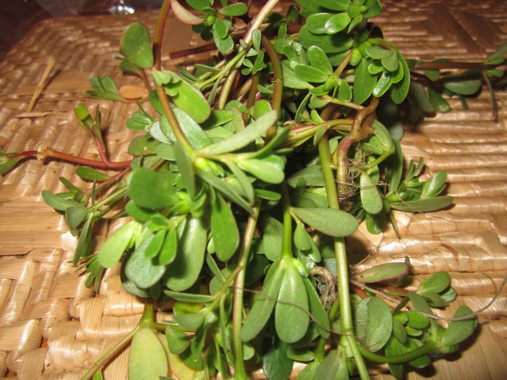 Purslane Frittata | The Charmed Kitchen