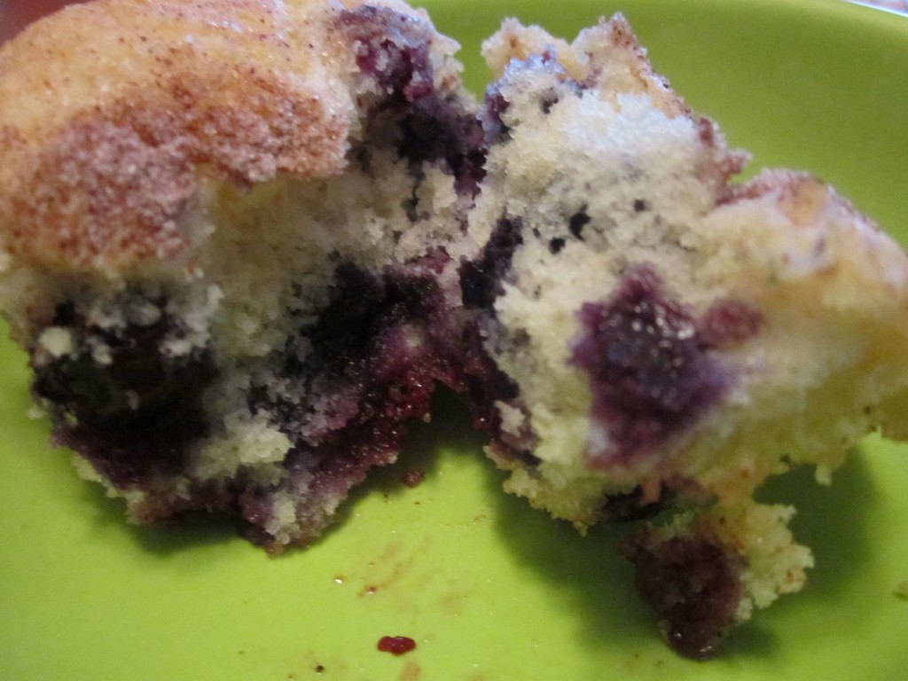 Blueberry Tea Cakes | The Charmed Kitchen