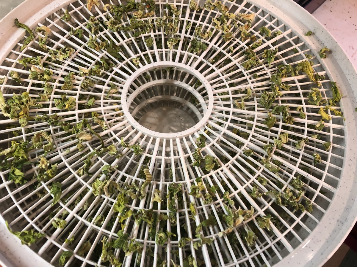Dehydrating Vegetables | The Charmed Kitchen